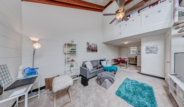 Arbor Lofts 1BR Gainesville Apartments Near the UF Law School & Library ...