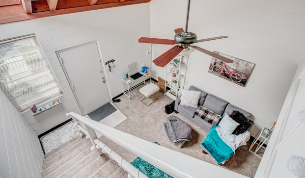 Arbor Lofts 1BR Gainesville Apartments Near the UF Law School & Library ...