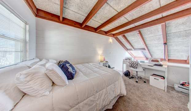 Arbor Lofts 1BR Gainesville Apartments Near the UF Law School & Library ...