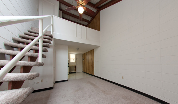 Arbor Lofts 1BR Gainesville Apartments Near the UF Law School & Library ...
