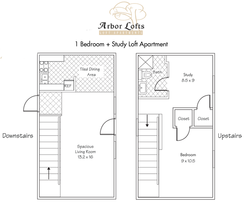 Arbor Lofts 1BR + Study Gainesville Apartments Near the Law School ...